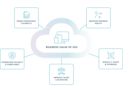 End User Computing (EUC) - Definition and Key Steps